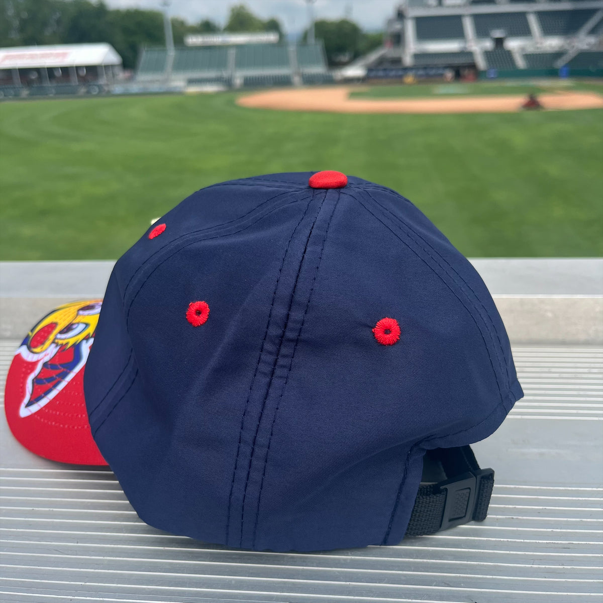Harrisburg Senators Toddler 'gene' Hat – Harrisburg Senators Official Store